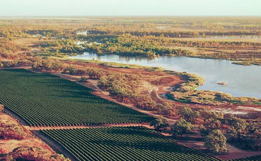 VINEX | Wine Trade Exchange