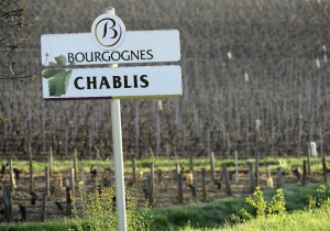 Chablis producers hopeful that bigger yields will help push prices down ...