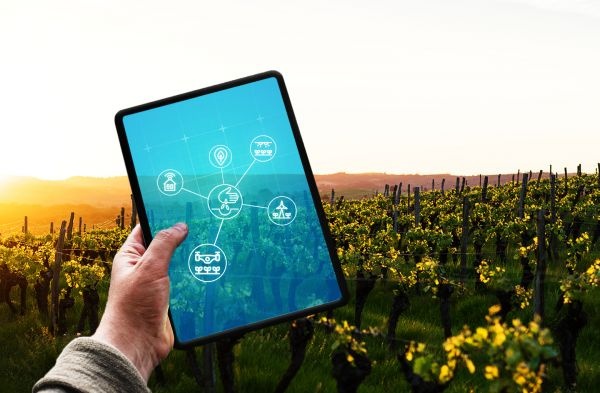 Future Wine Expo: A new wine technology conference takes place in 2020 ...